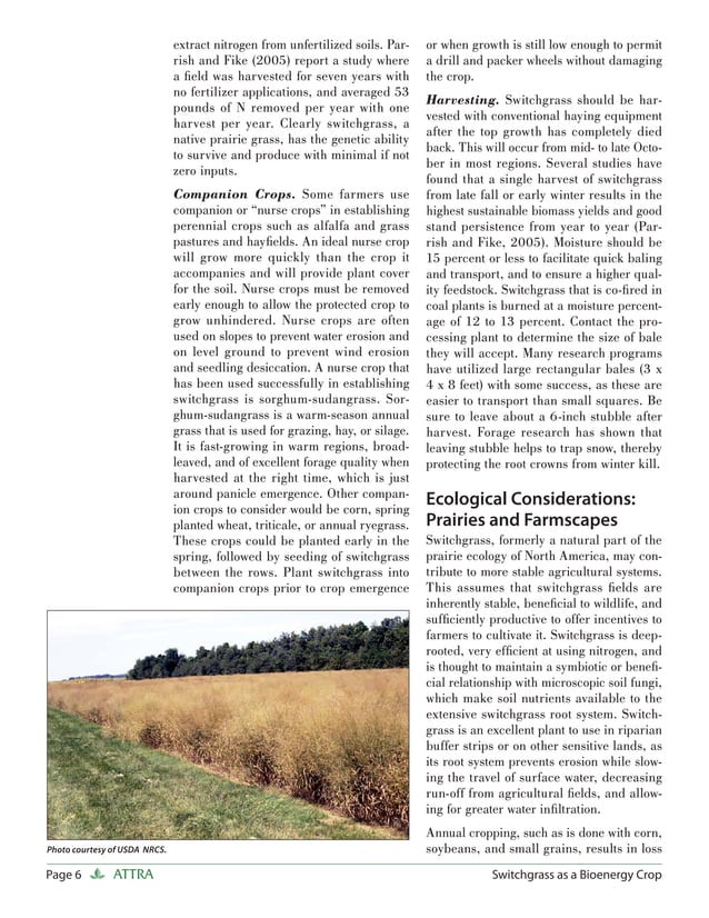 Switchgrass as a Bioenergy Crop | PDF