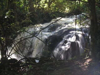 Switi sranan | PPS | Geography | Science