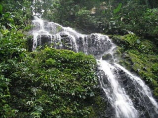 Switi sranan | PPS | Geography | Science