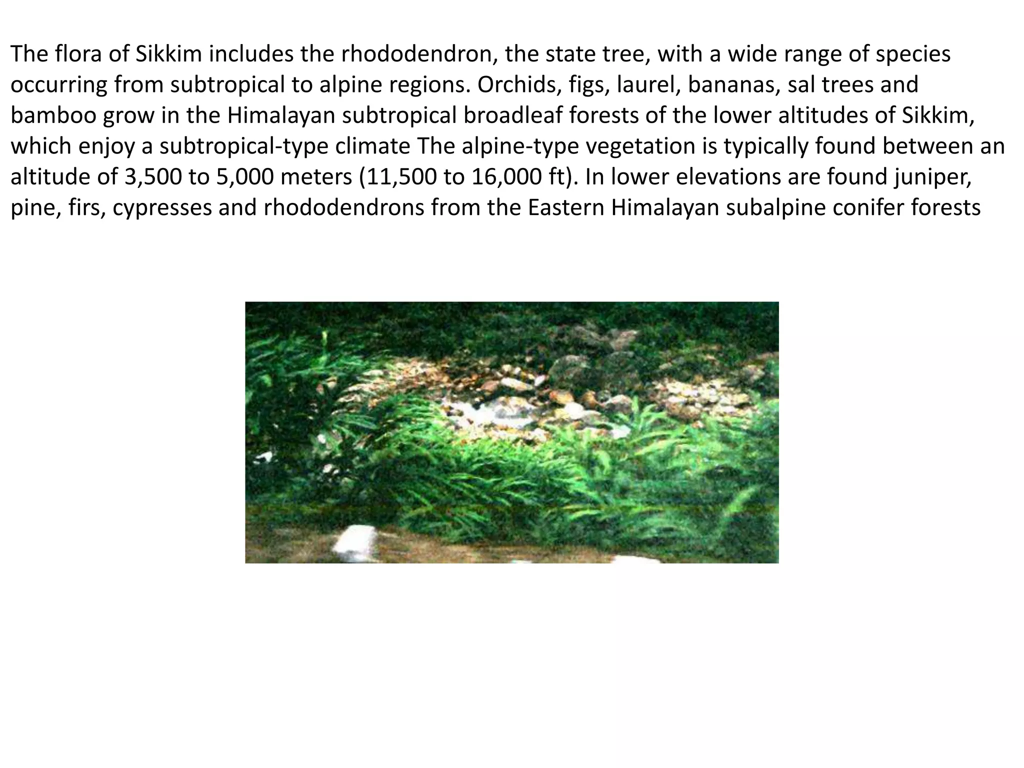 Geography of Sikkim - The Switzerland of East, R. A. Singh, NERIE ...