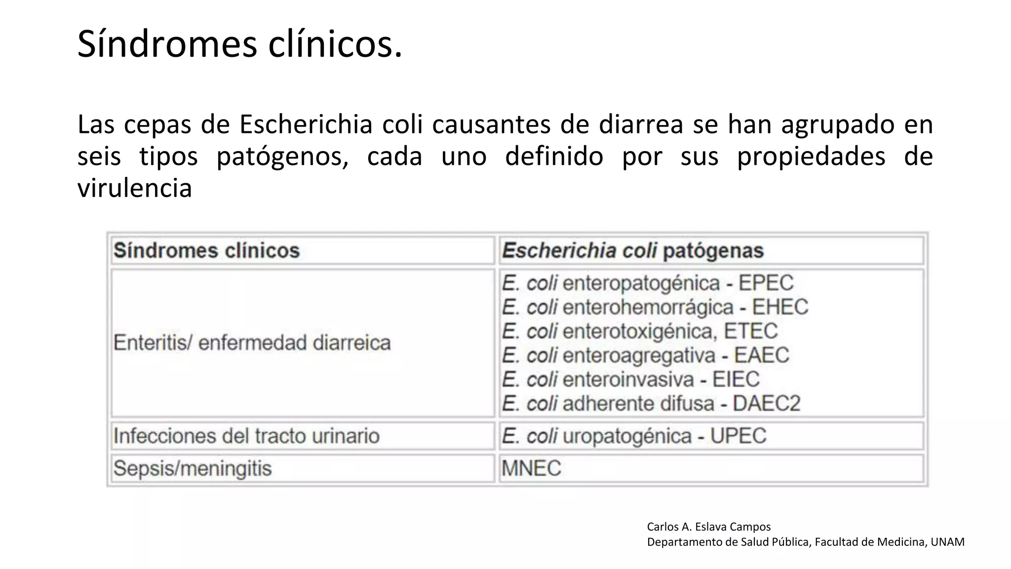 E. coli intestinal y extraintestinal | PPT