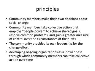 Swk1048 Community organising theory | PPTX