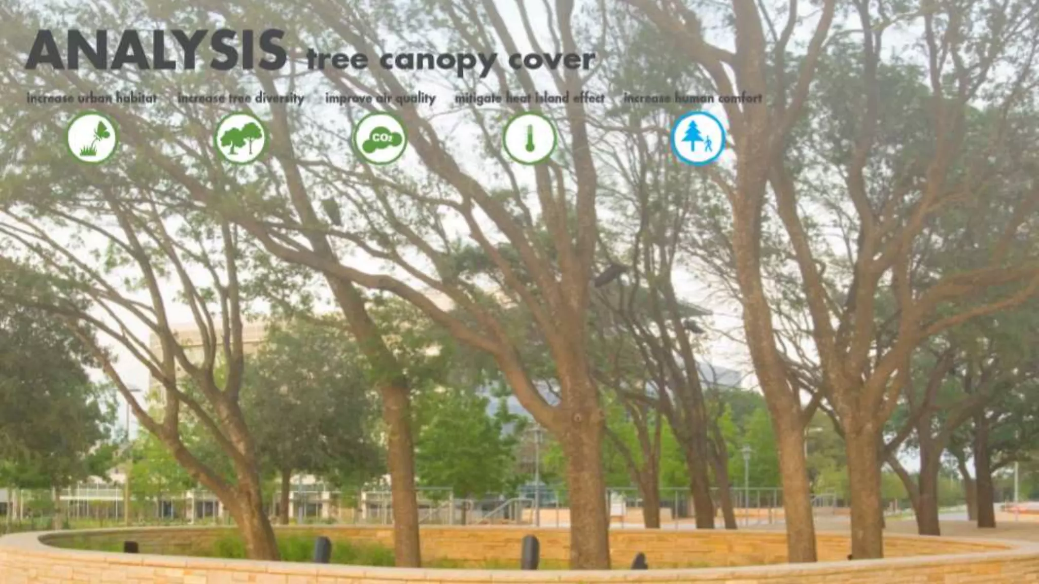 Southwestern Medical District Urban Streetscape Master Plan - Tree ...