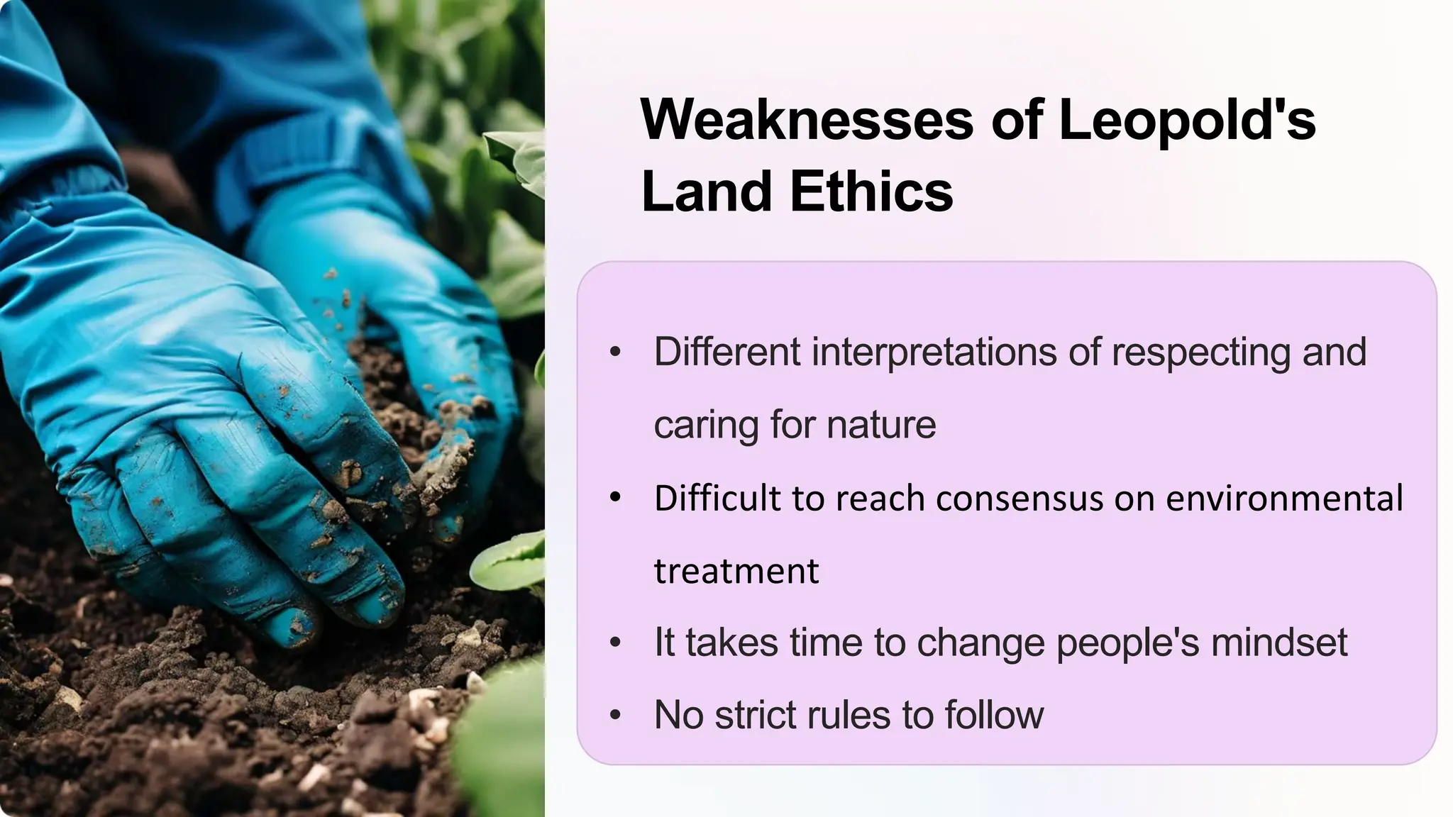 SWOT-Analysis-on-the-Land-Ethics-Promoted- by-Aldo-Leopold ppt.pptx
