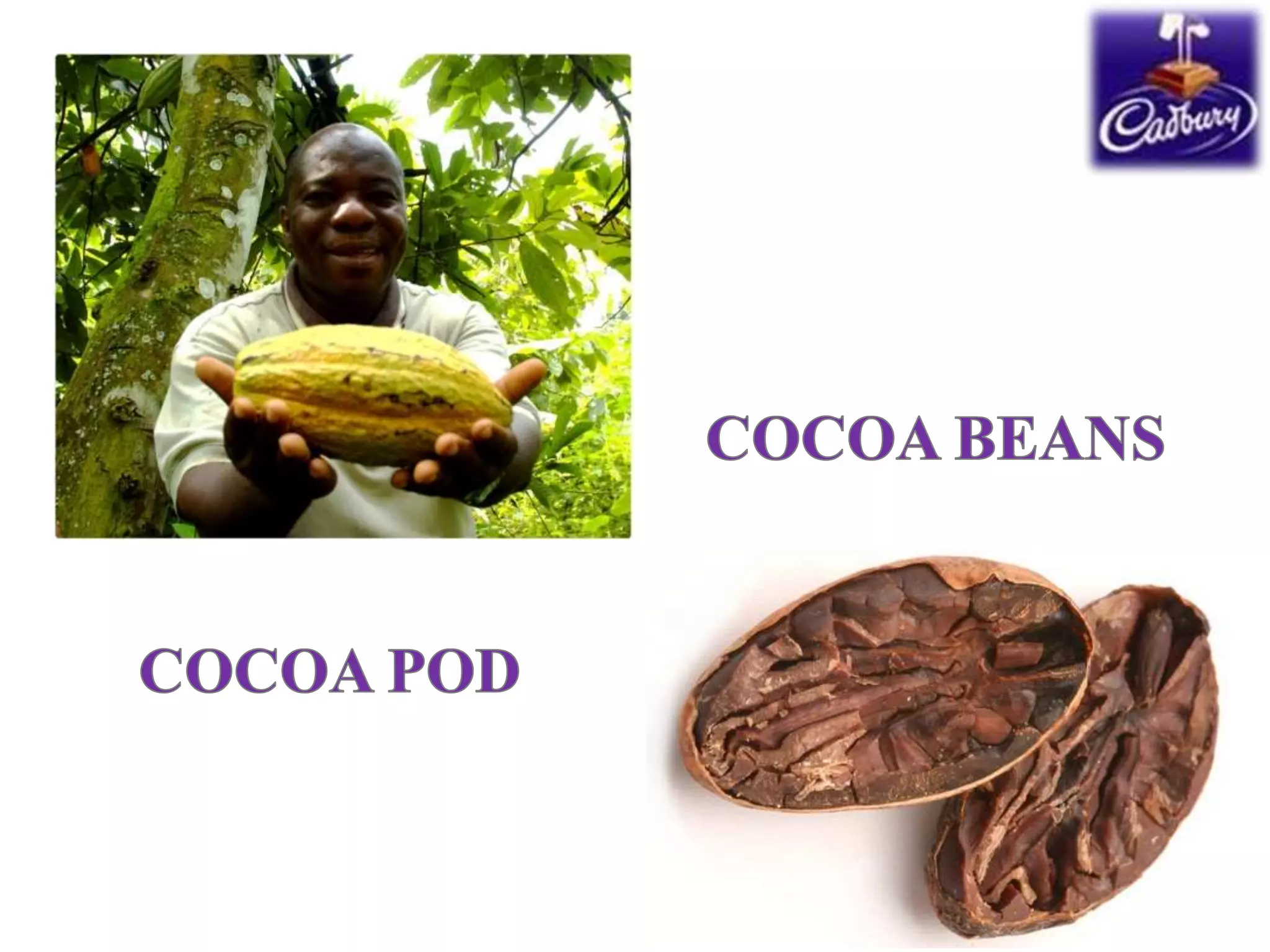 Swot analysis of Cadbury. | PPTX