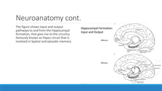 Swoyam NEUROBIOLOGY OF MEMORY.pptx