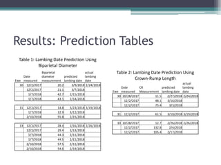 Estimation of Fetal Development in Cheviot Ewes with Ultrasonography | PPT