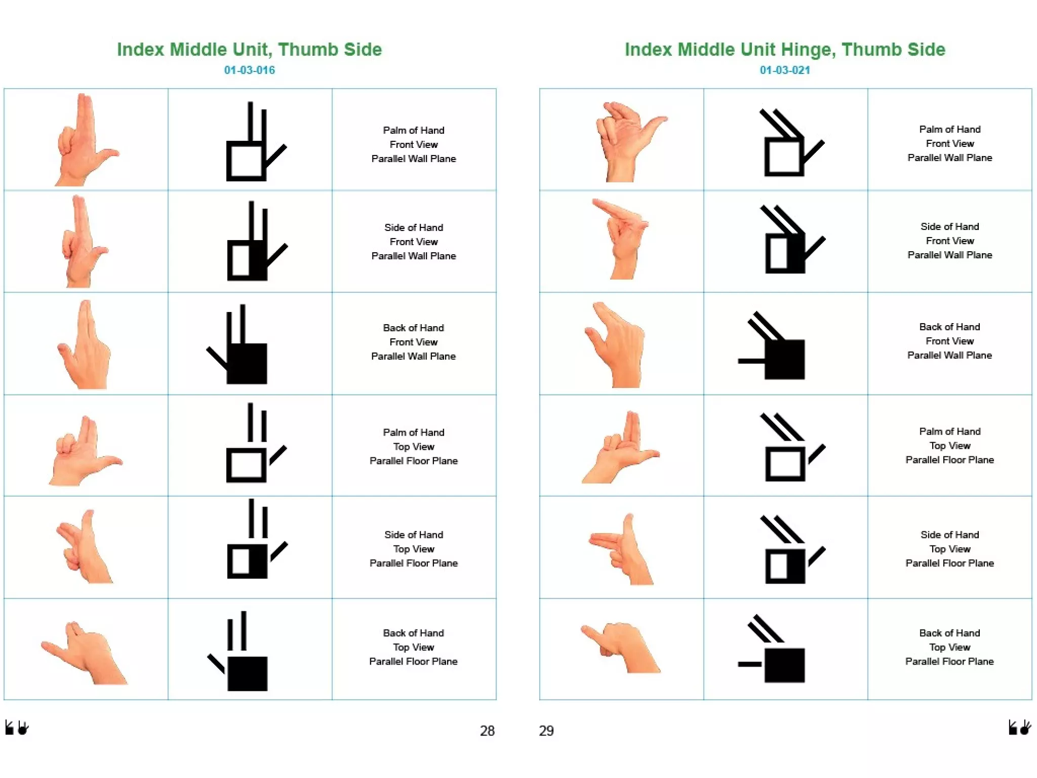 American Sign Language Hand Symbols SignWriting Manual | PPT