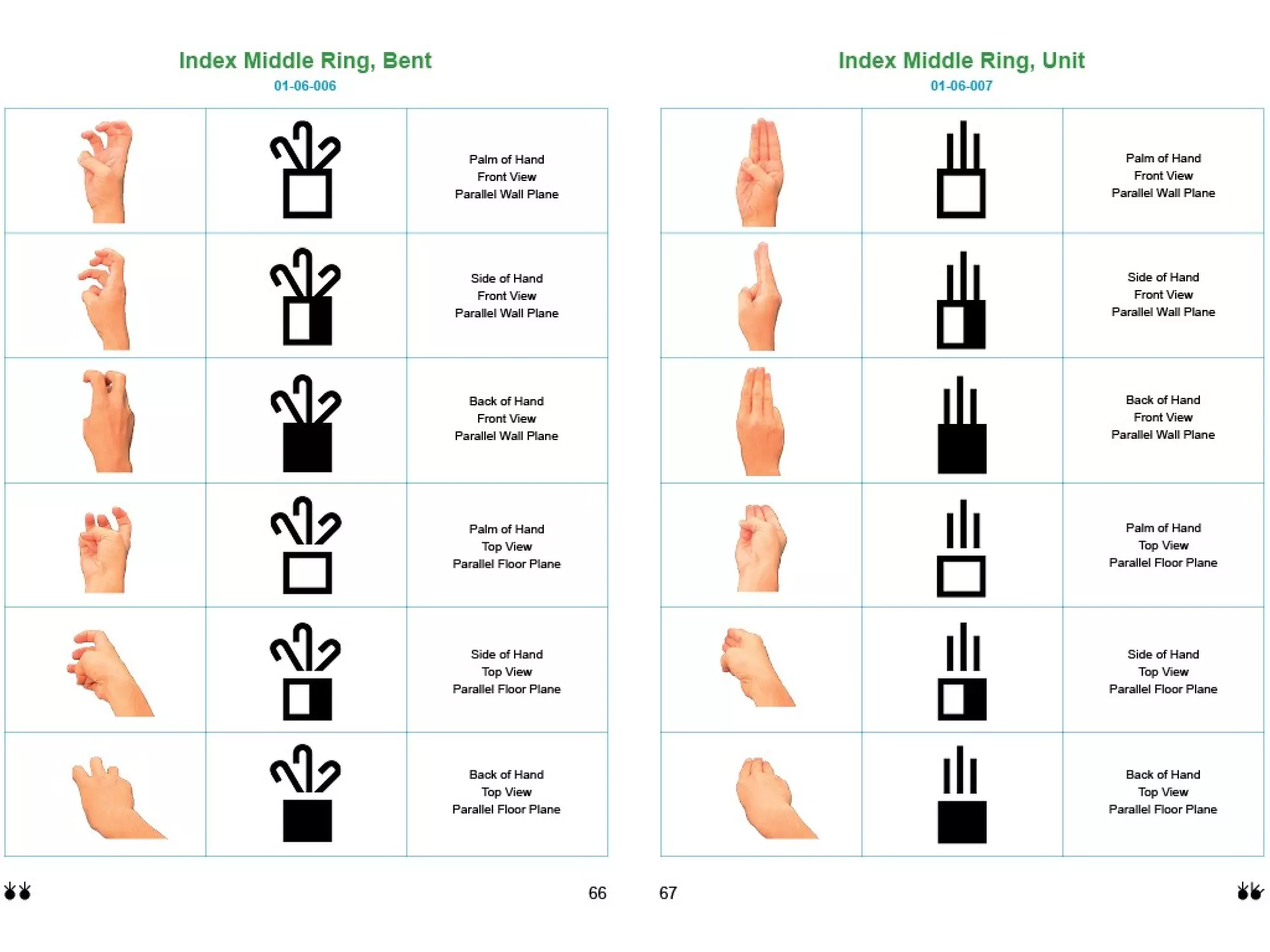 American Sign Language Hand Symbols SignWriting Manual | PPT