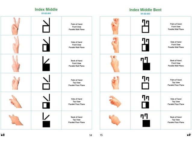 American Sign Language Hand Symbols SignWriting Manual | PPT