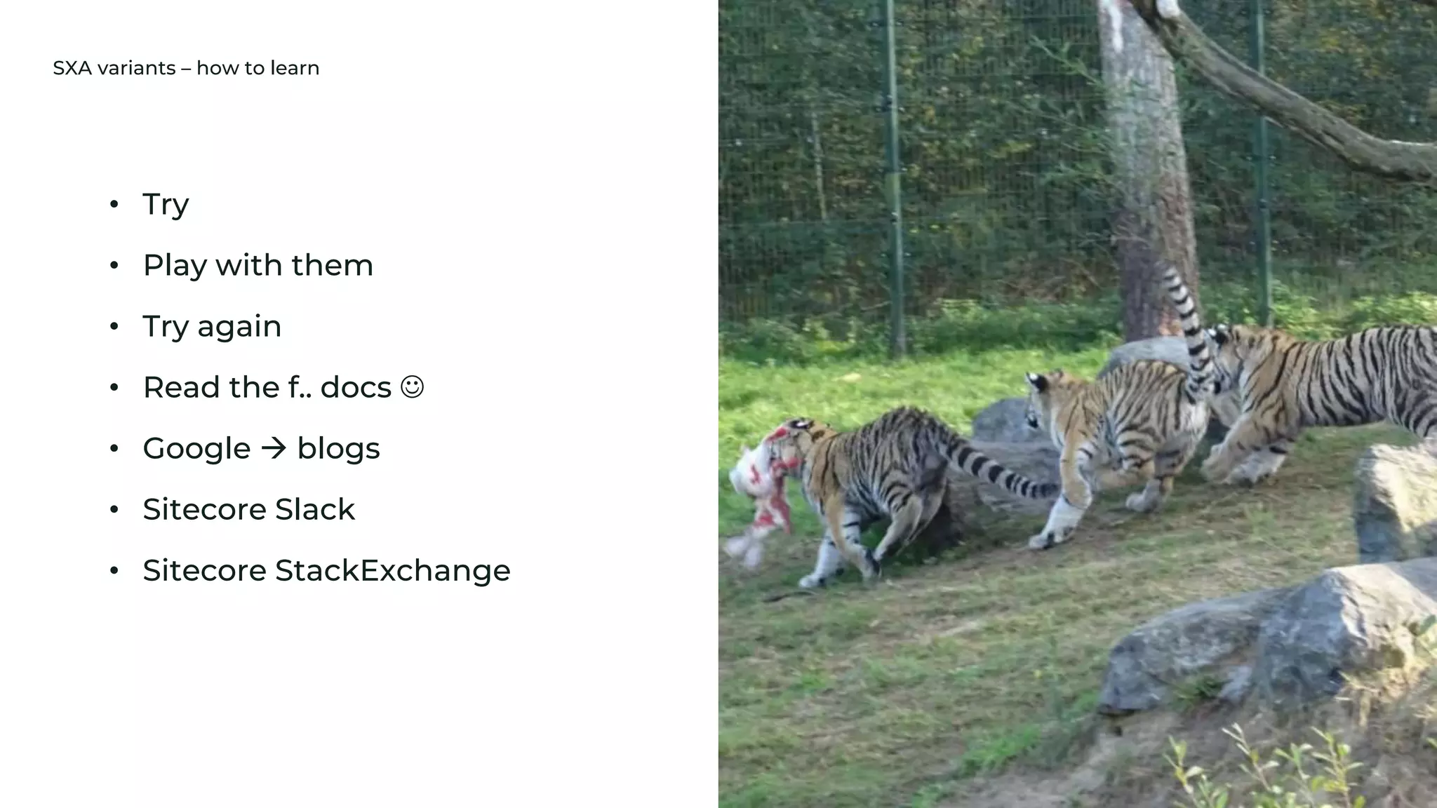 The ultimate SXA variants guide: to Scriban and beyond | PPTX