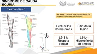 SX DE CAUDA EQUINA Y CONO MEDULAR.pptx