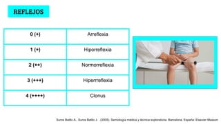 Sindrome de neurona motora | PDF