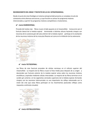Sindrome extrapiramidal | PDF