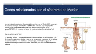 SX MARFAN GENETICA - R1 SERGIO A. MEZA MARTINEZ.pptx