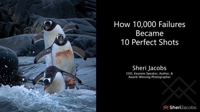 How 10,000 Failures Became 10 Perfect Shots | PPT