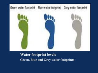 Water Footprint Assessment | PPT