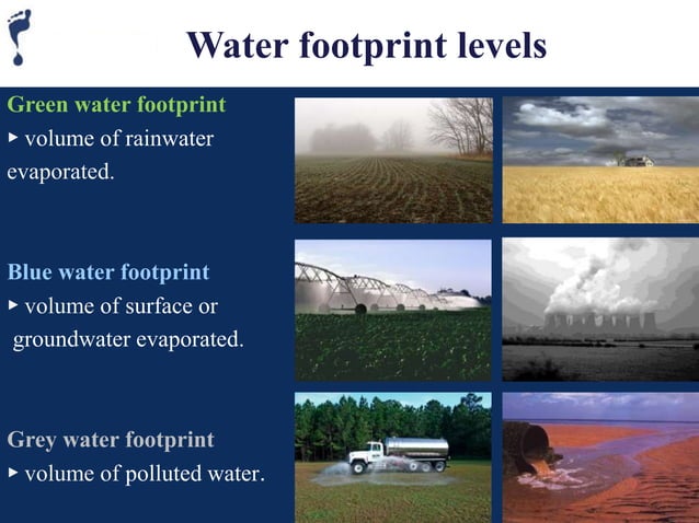 Water Footprint Assessment | PPT