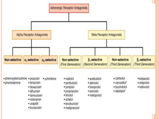 SY - Medichem i - adrenergic blockers (1).pdf