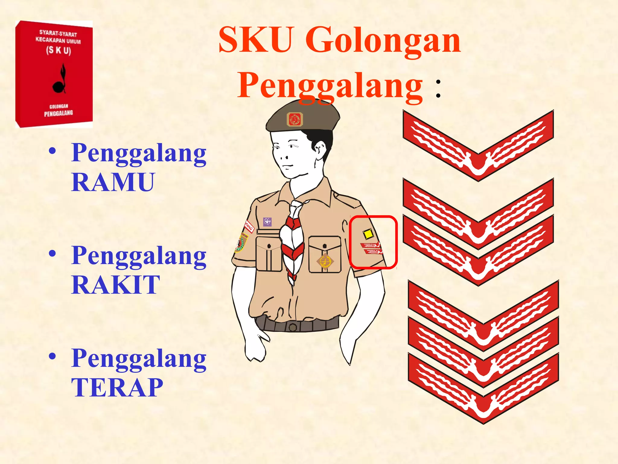 Syarat kecakapan umum ( sku ) | PPS