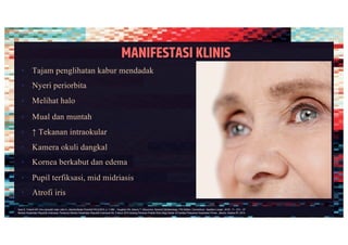 syayid ppt.pdf
