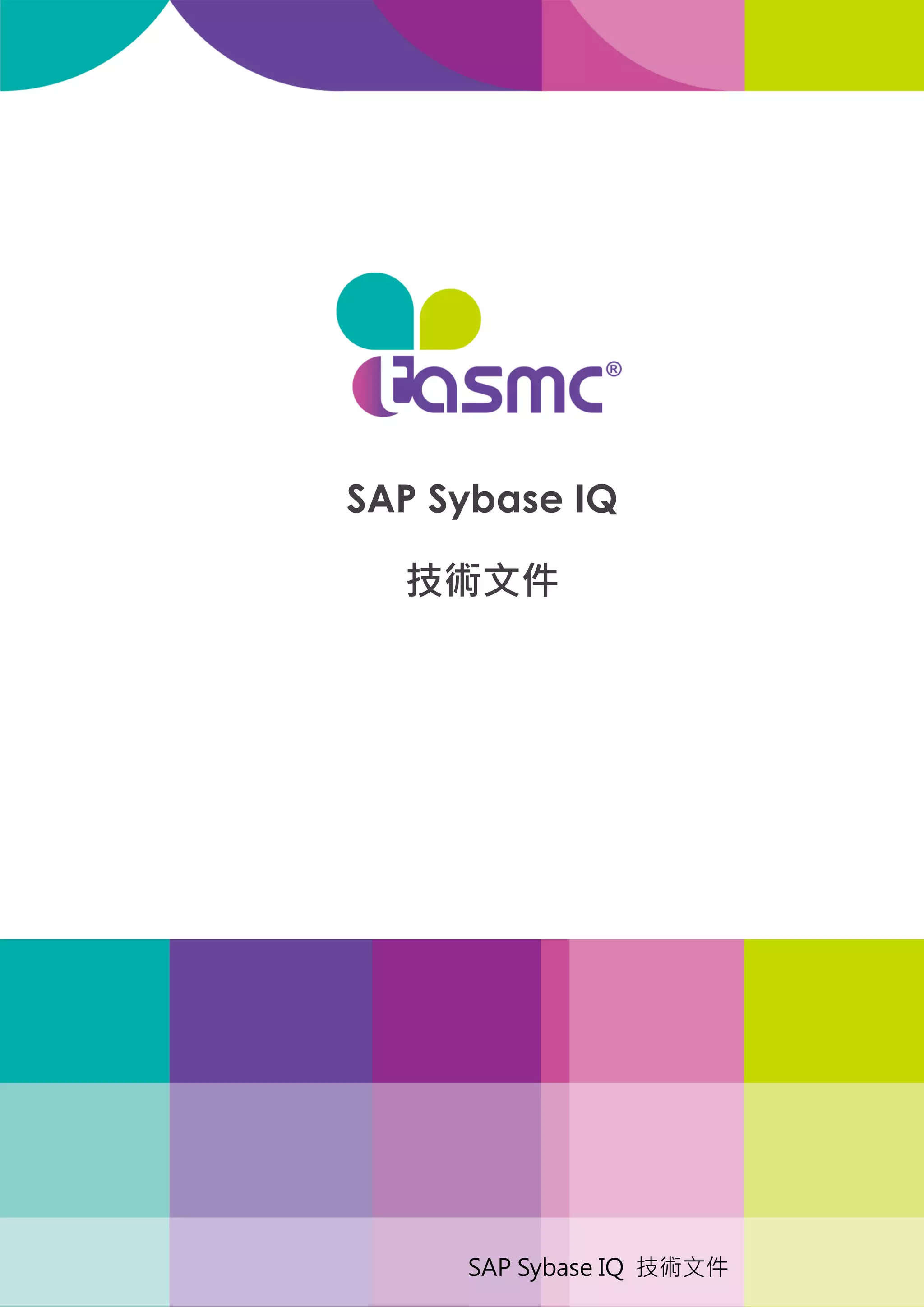 Sybase IQ 16 | PDF