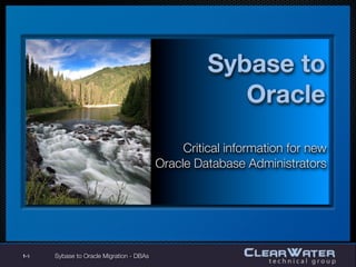 Sybase To Oracle Migration for DBAs | KEY | Databases | Computer Software and Applications