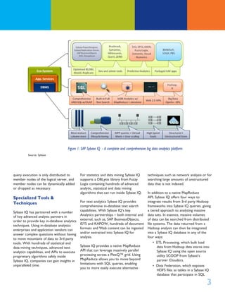 Sybase IQ Big Data | PDF