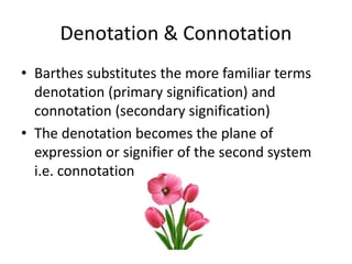 Semiology_mmr_bmm_selvi | PPTX