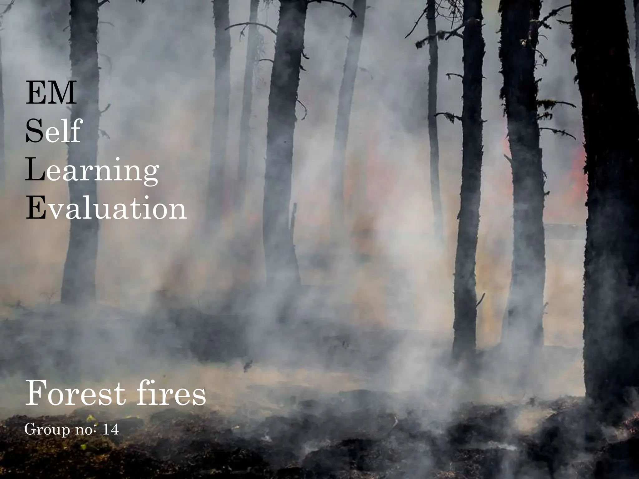 Ppt on forest fires | PPTX