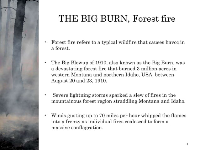 Ppt on forest fires | PPTX | Disasters
