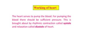 SYBSC_Scoliodon_Heart_ppt.pdf,ccccccccccc | PDF