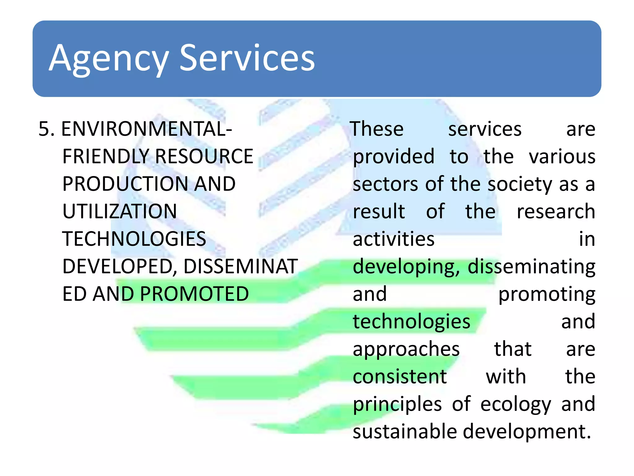 DENR Strategic Planning | PPTX