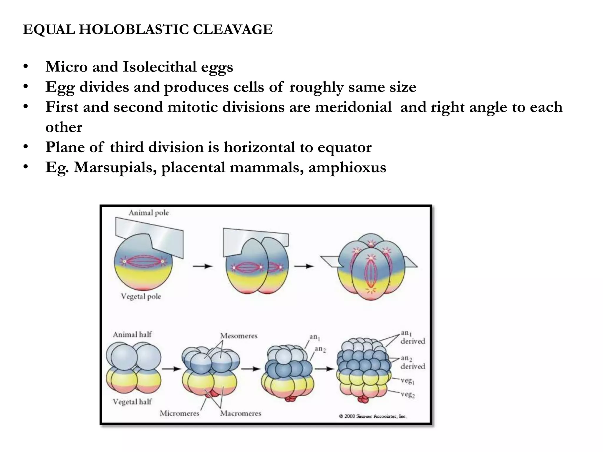 Egg structure, types classification and cleavage types , sperm ...