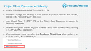 Designing Apps for Runtime Fabric: Logging, Monitoring & Object Store Persistence | PPT