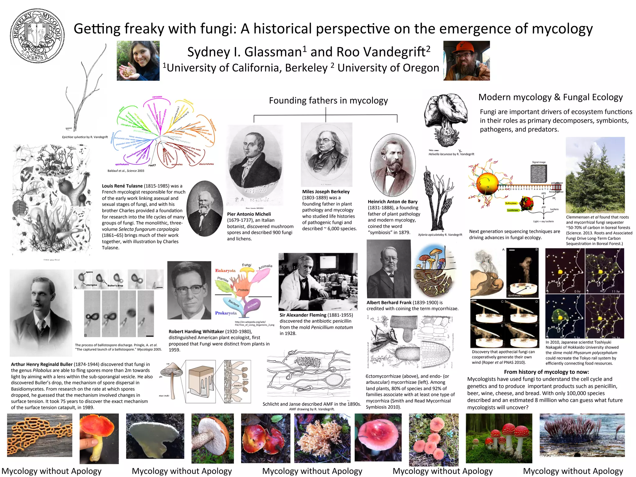 Getting freaky with fungi: A historical perspective on the emergence of ...