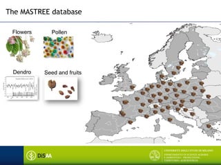 Understanding and modeling masting in European tree species | PDF ...