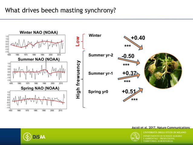 Understanding and modeling masting in European tree species | PPT