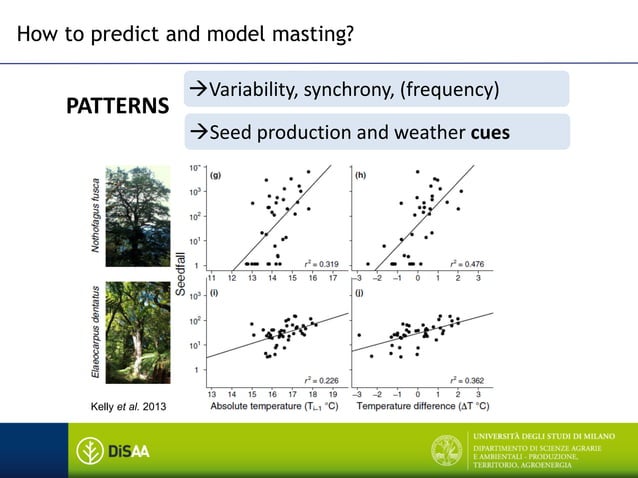 Understanding and modeling masting in European tree species | PPT