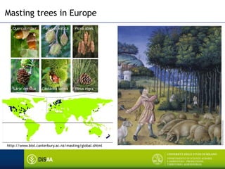 Understanding and modeling masting in European tree species | PDF ...
