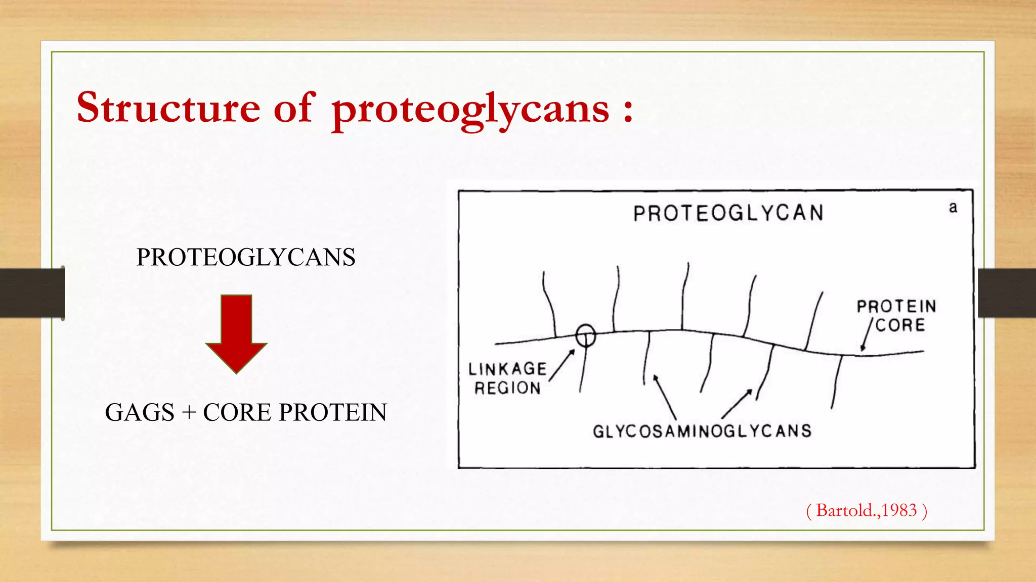 PROTEOGLYCANS OF PERIODONTIUM | PPTX