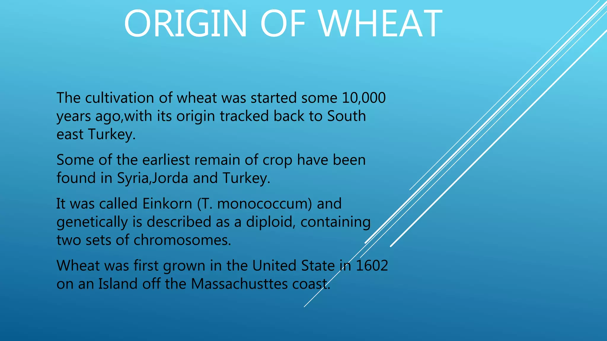 Wheat,its types ,importance,characteristics | PPT