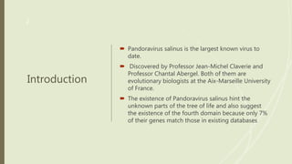 Pandoraviruse Salinus | PPTX