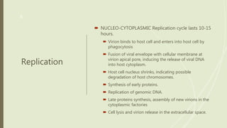 Pandoraviruse Salinus | PPTX