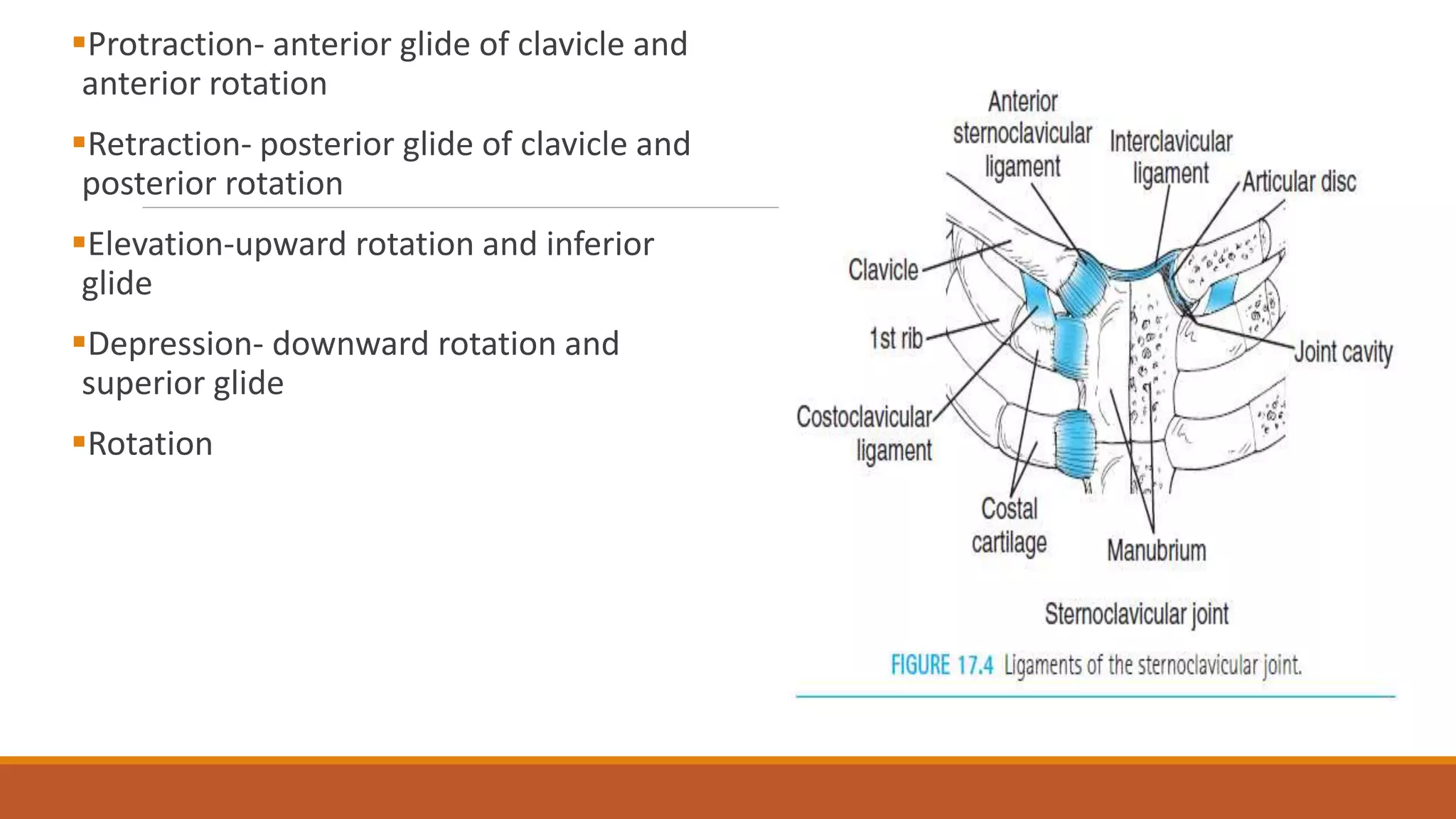 shoulder assessment (full) | PPTX
