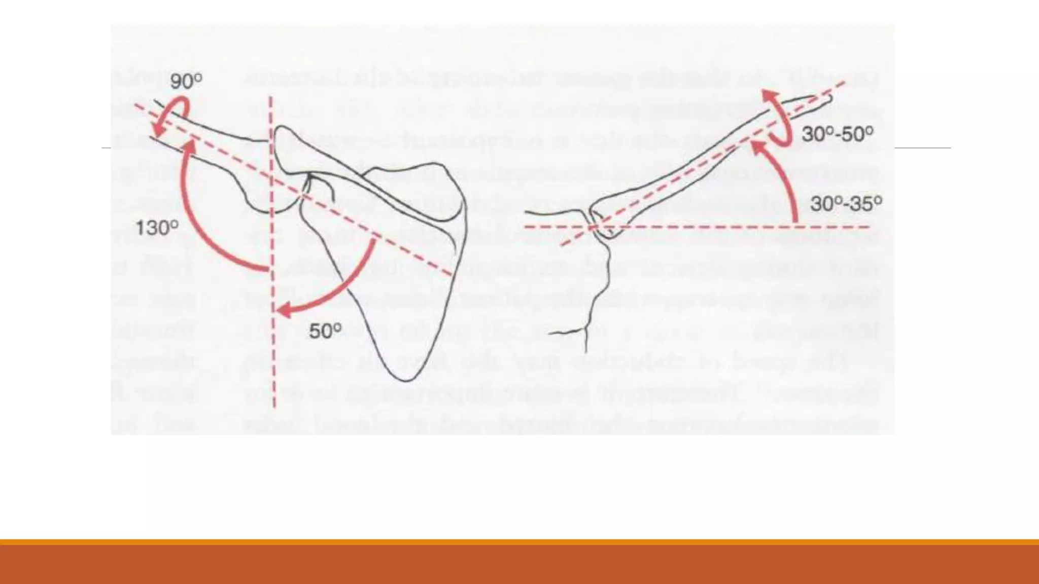 shoulder assessment (full) | PPTX