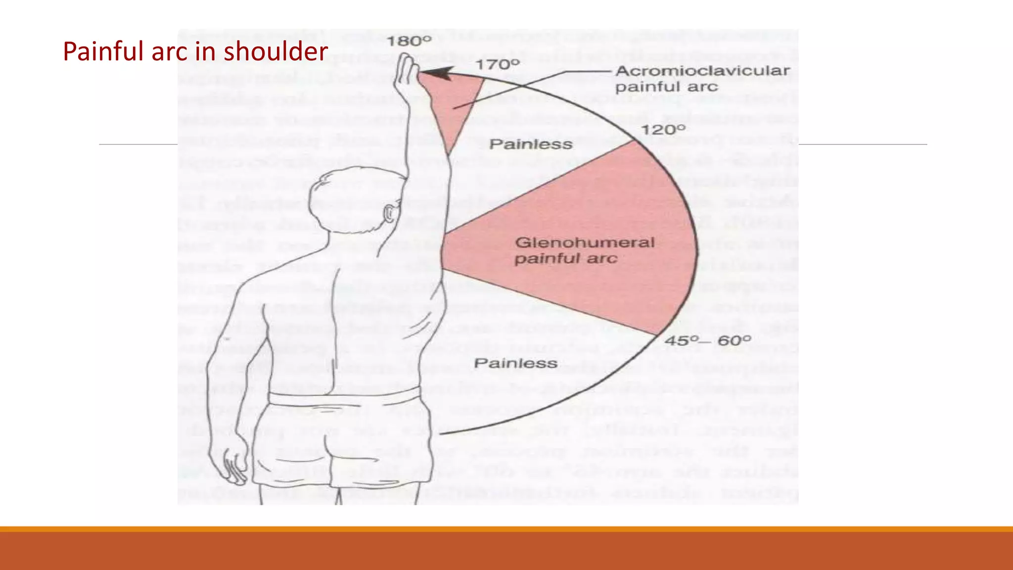 shoulder assessment (full) | PPTX