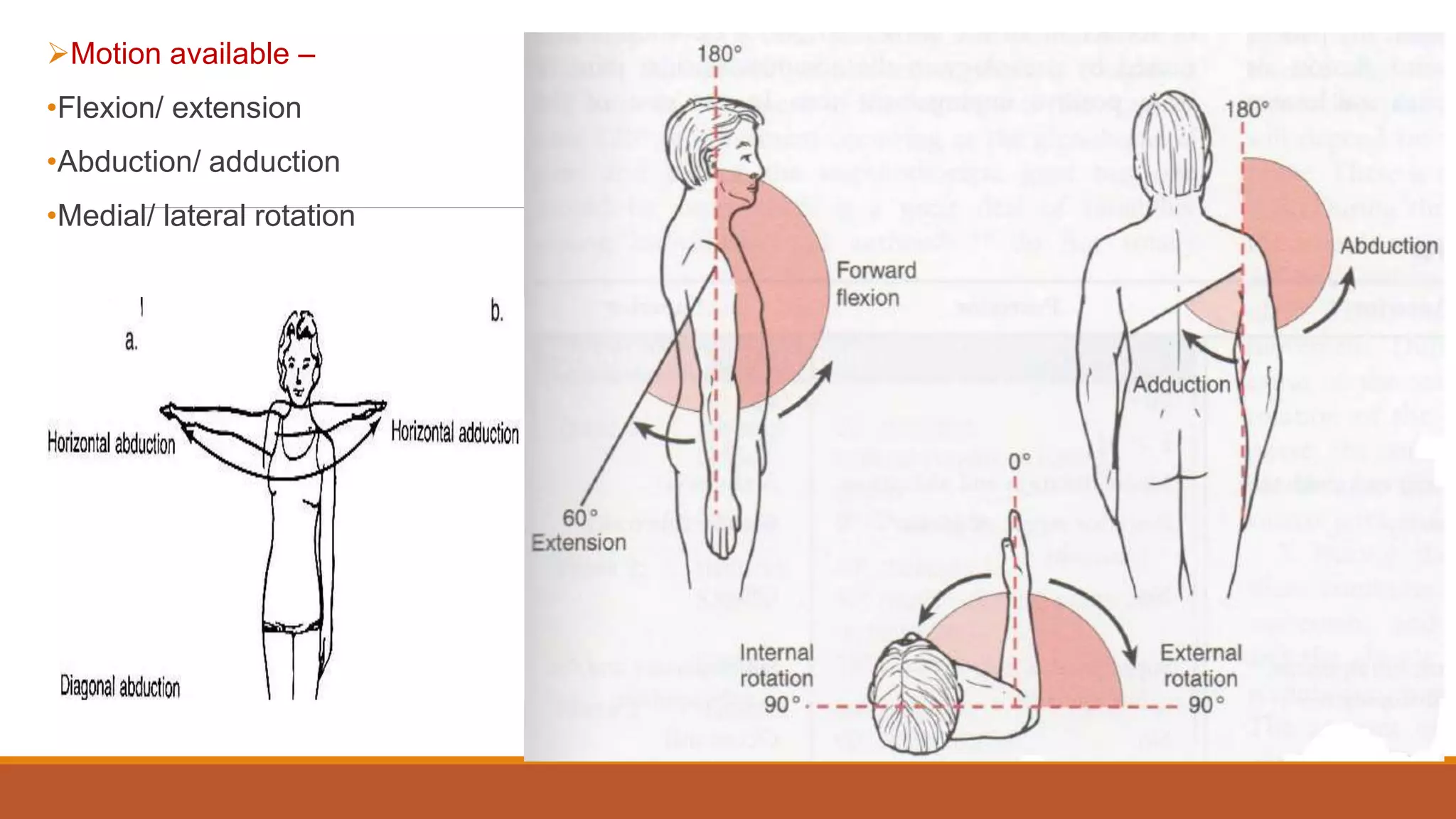 shoulder assessment (full) | PPTX