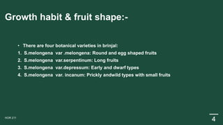 PRODUCTION TECHNOLOGY OF BRINJAL | PPTX