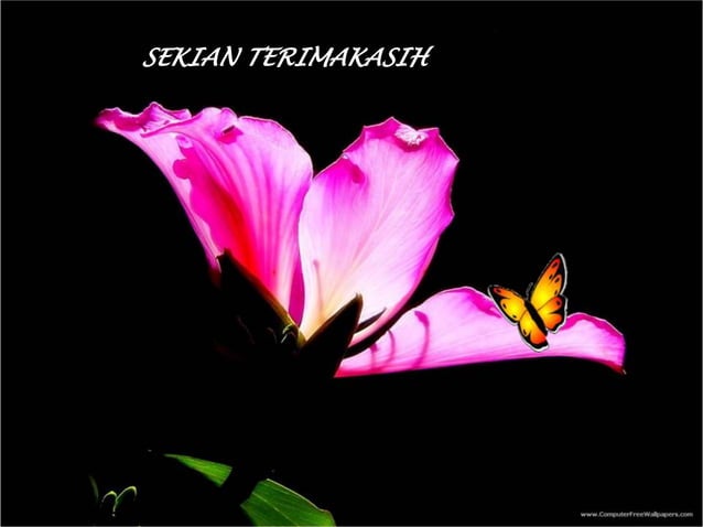 Syirkah devi novitasari | PPTX